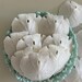 Sand Dollars - Large Arrowhead Sand Dollars (10) - Beach Decor ...
