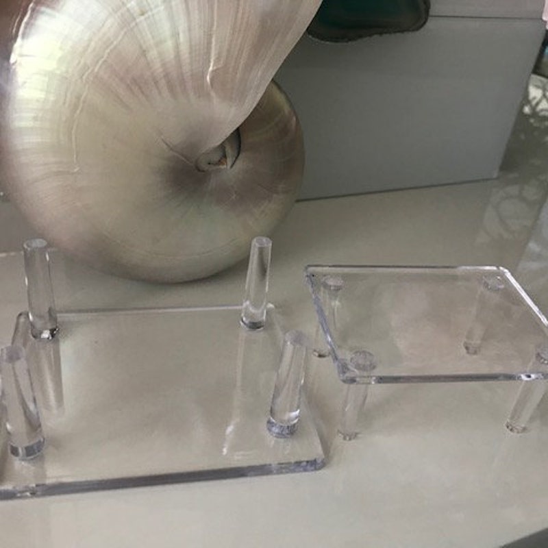 Seashell Display - Etsy