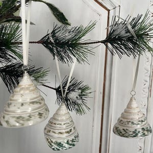 Beach Christmas Real Shell Ornament - Spiral Green & White Trocha ...