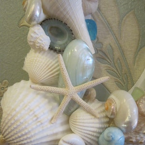 Beach Decor Seashell Letter "d" - Soft Tropical Colored Shell Letter ...