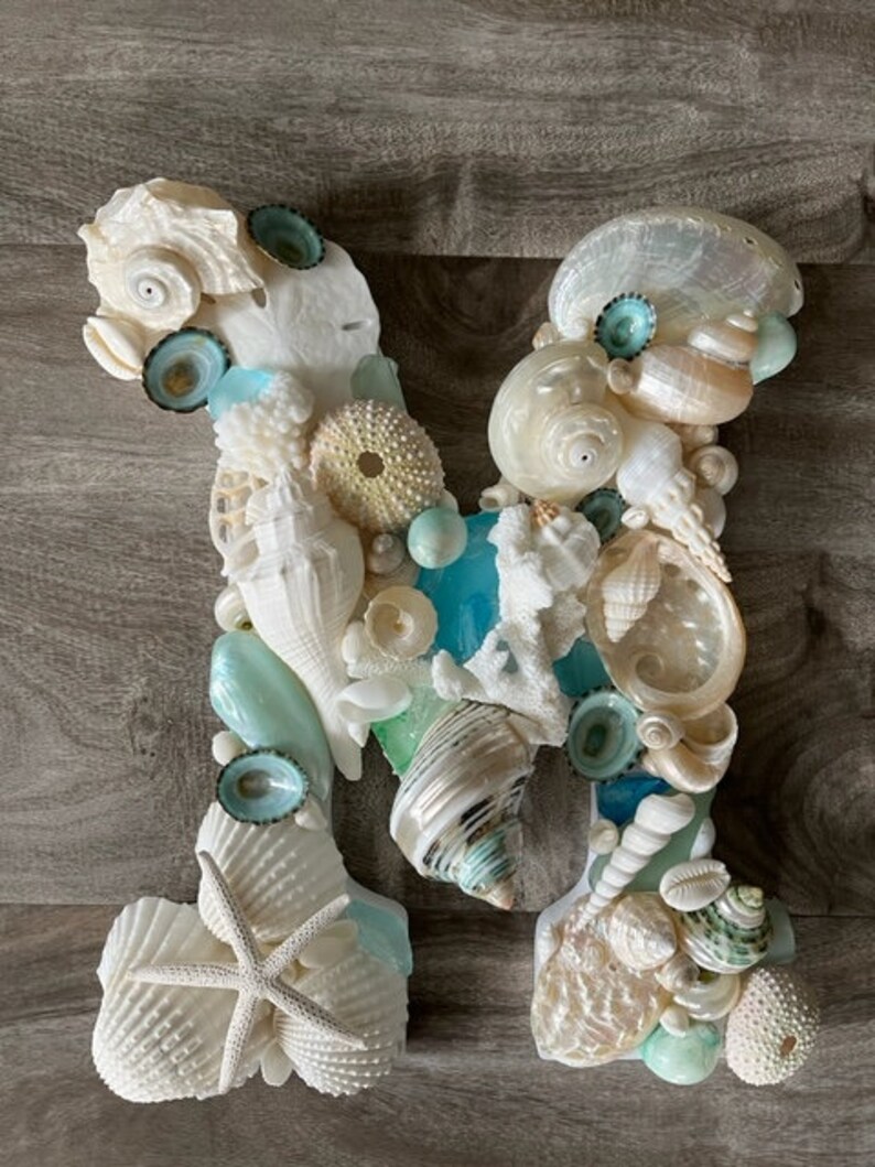 Beach Decor Seashell Letter d Soft Tropical - Etsy