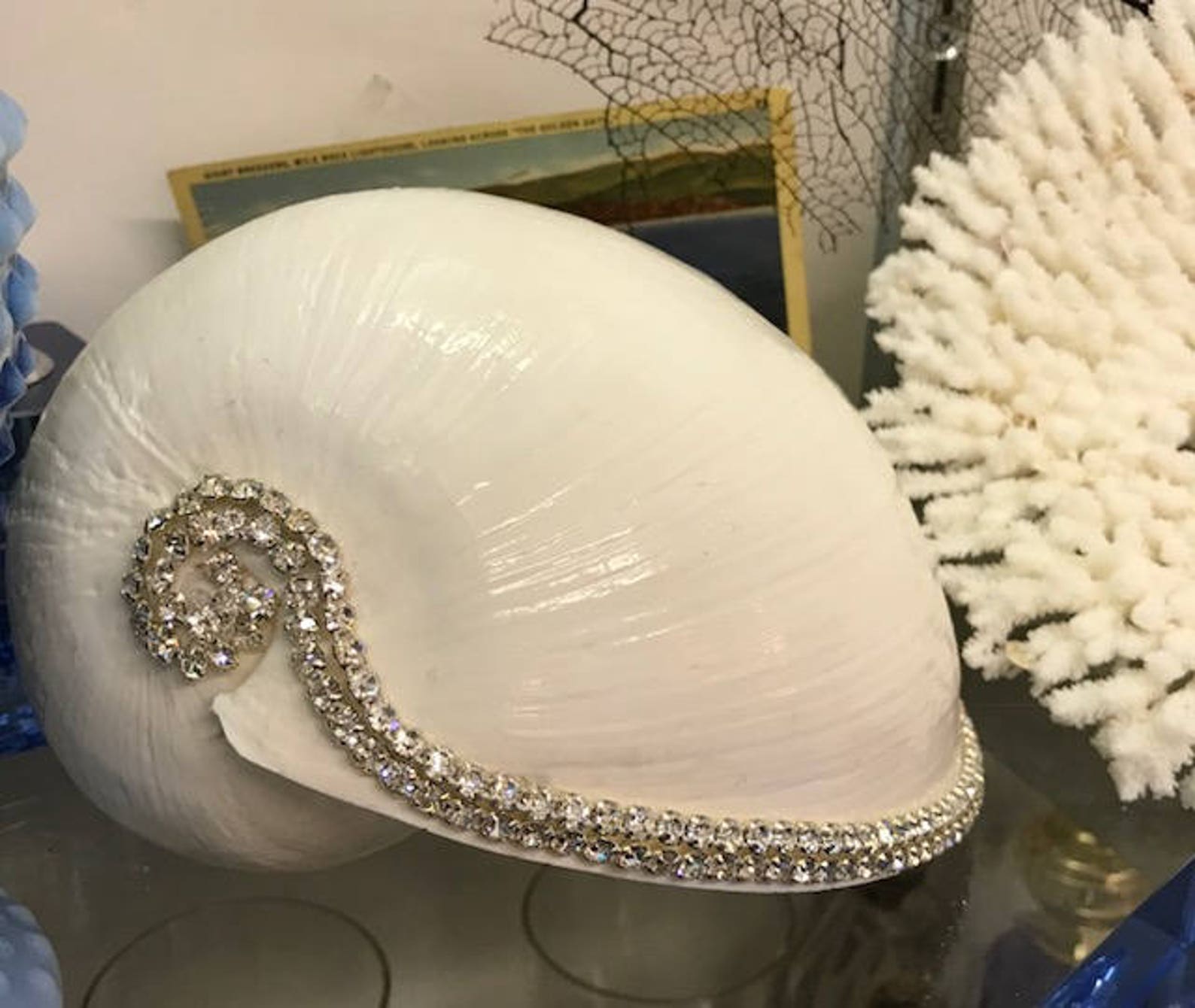 Embellished Polished White Melon Shell With Swarovski Crystals - Etsy