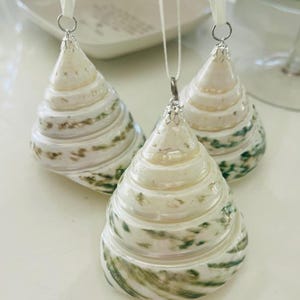 Beach Christmas Real Shell Ornament - Spiral Green & White Trocha ...