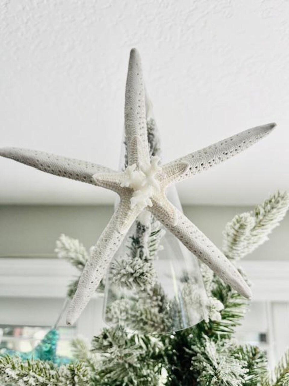 Real Starfish & Coral Tree Topper - Double Starfish Christmas Tree ...