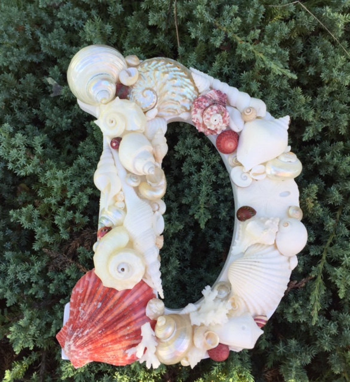 Beach Decor Shell Letter White and Red Colored Shell Letter | Etsy