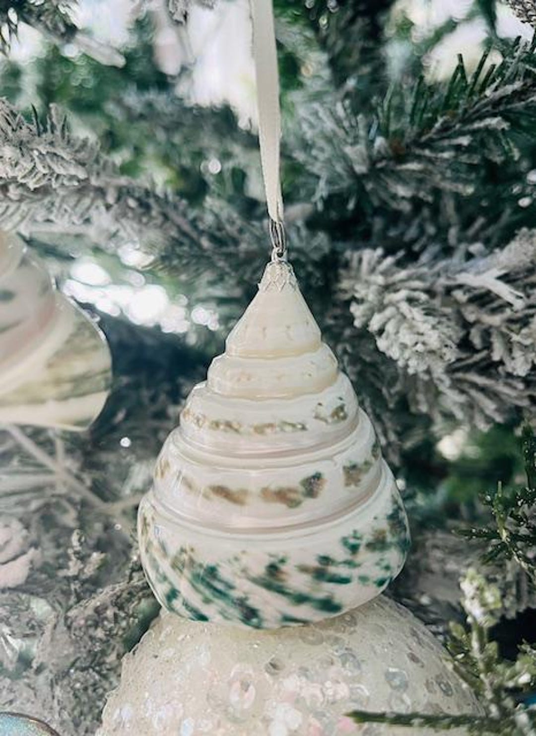 Beach Christmas Real Shell Ornament - Spiral Green & White Trocha ...