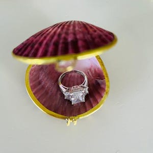 Shell Box - Natural Seashell Ring Box - Colorful Pectin Shell Pill Box ...