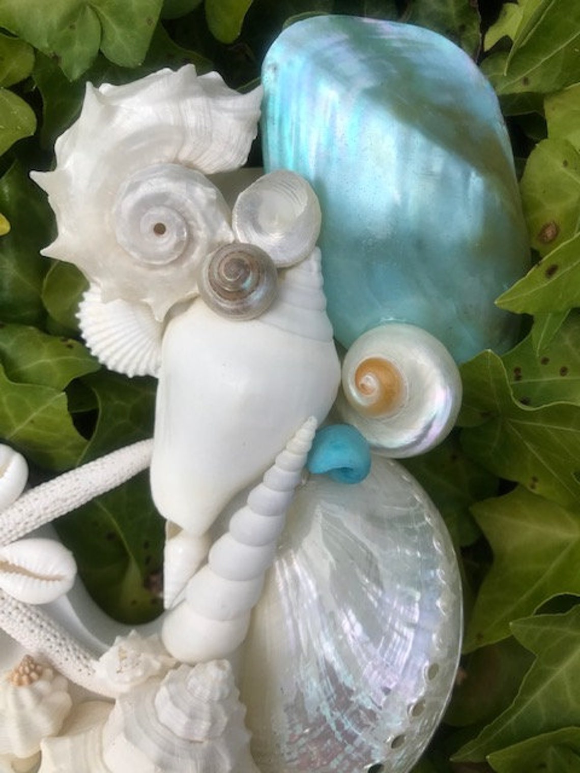 Beach Decor Seashell Letter - Blue and White Soft Tropical Colored ...