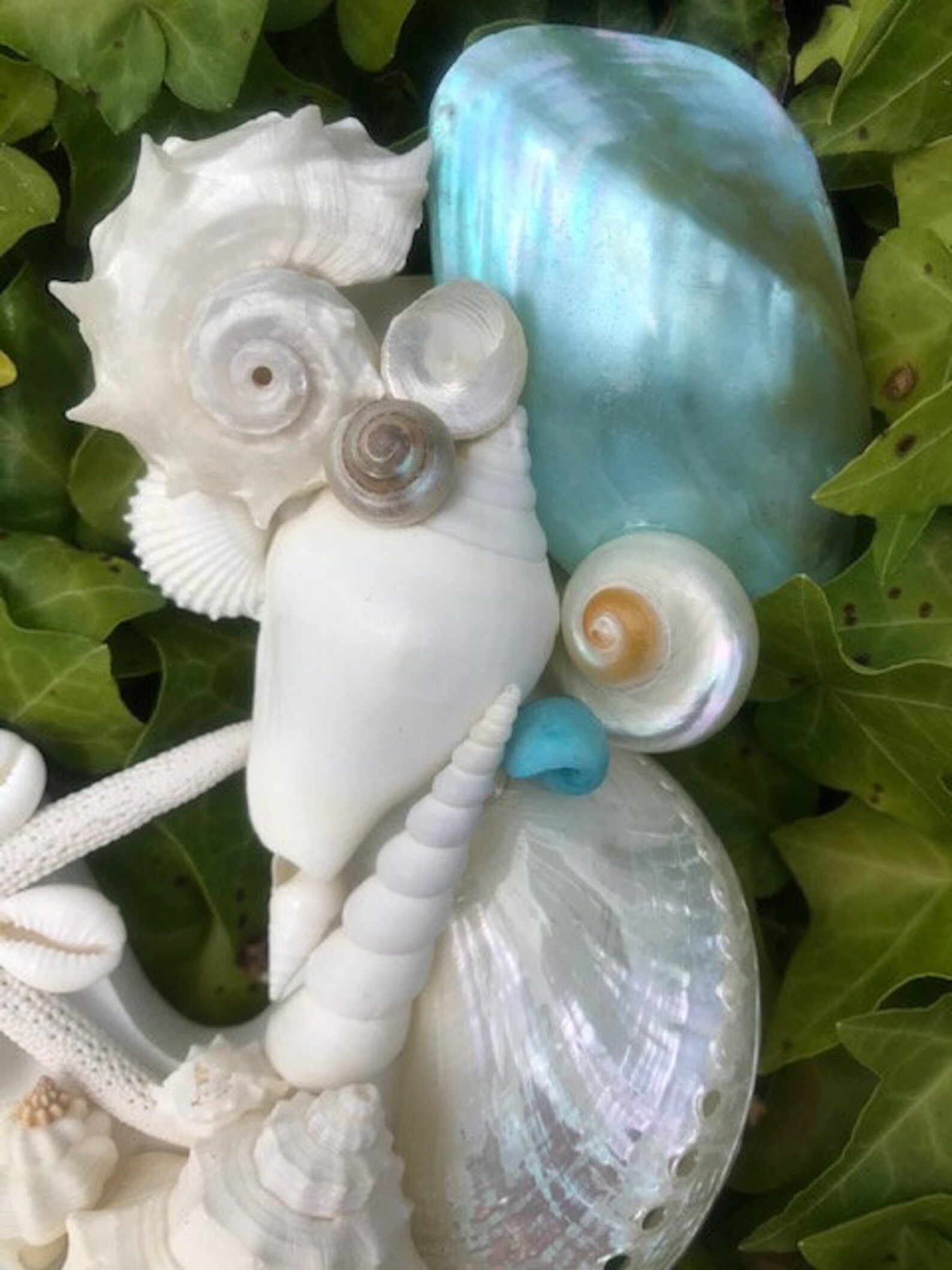 Beach Decor Seashell Letter Blue and White Soft Tropical - Etsy