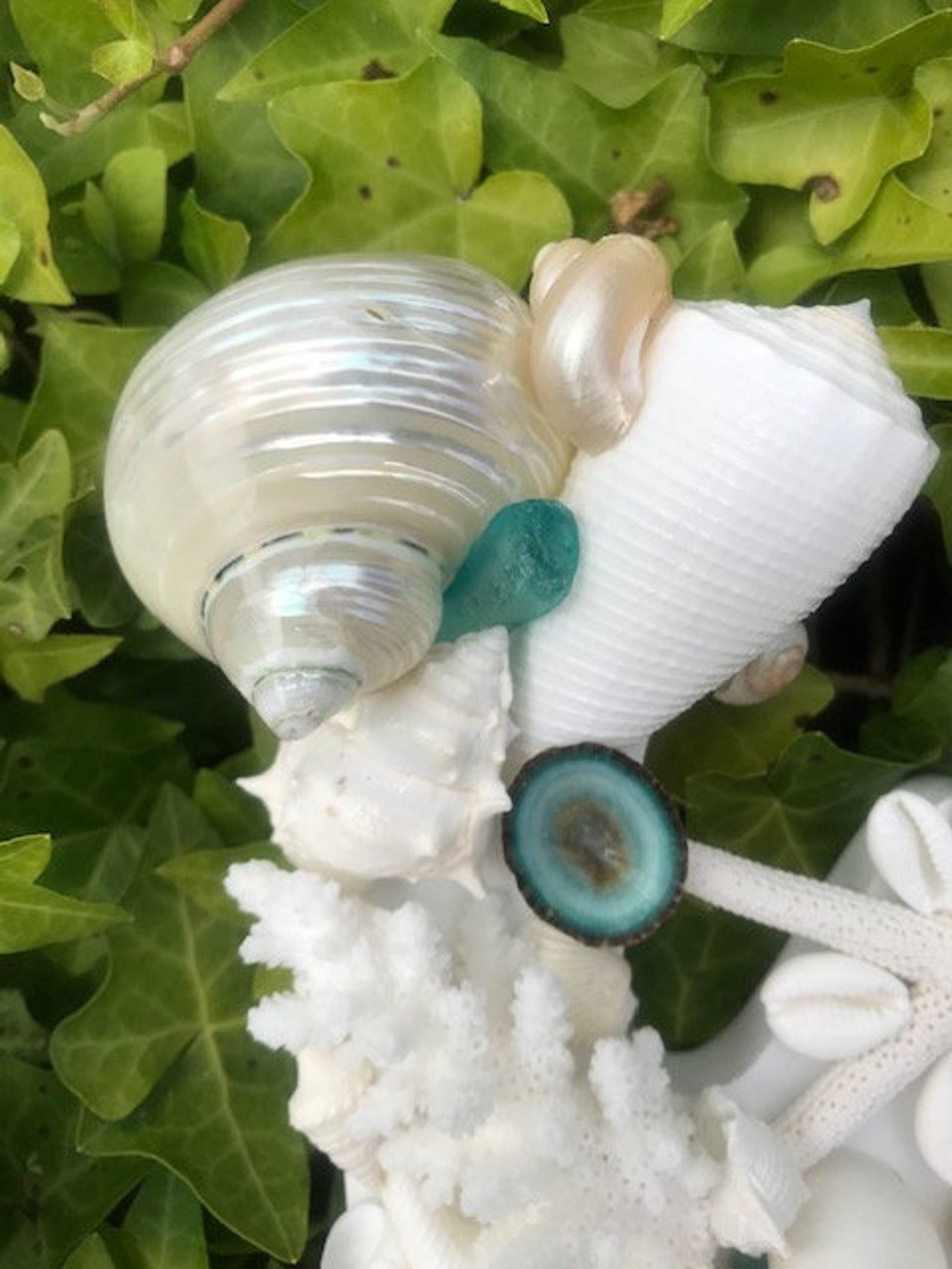 Beach Decor Seashell Letter Blue and White Soft Tropical - Etsy