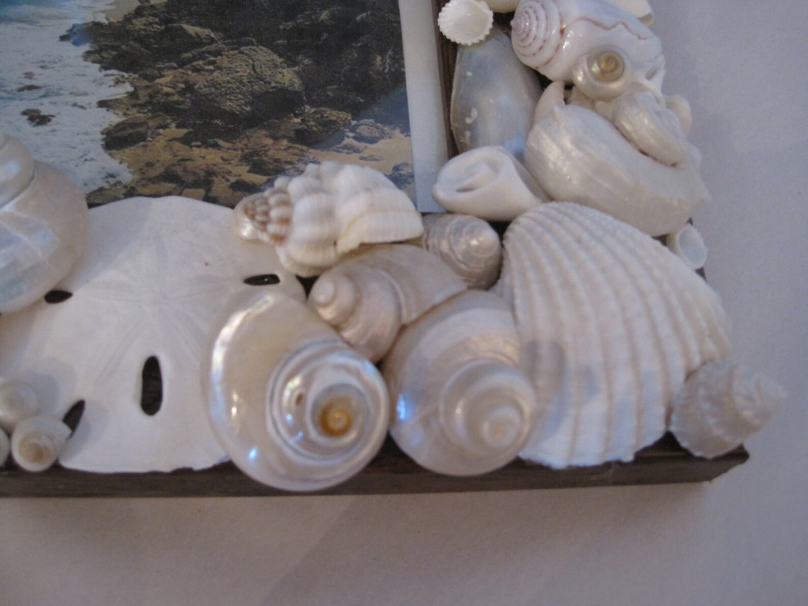 Beach Decor White Seashell Picture Frame Shell Frame White | Etsy