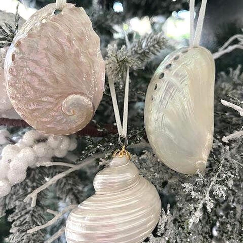 Unique Shell Ornaments - Etsy Canada