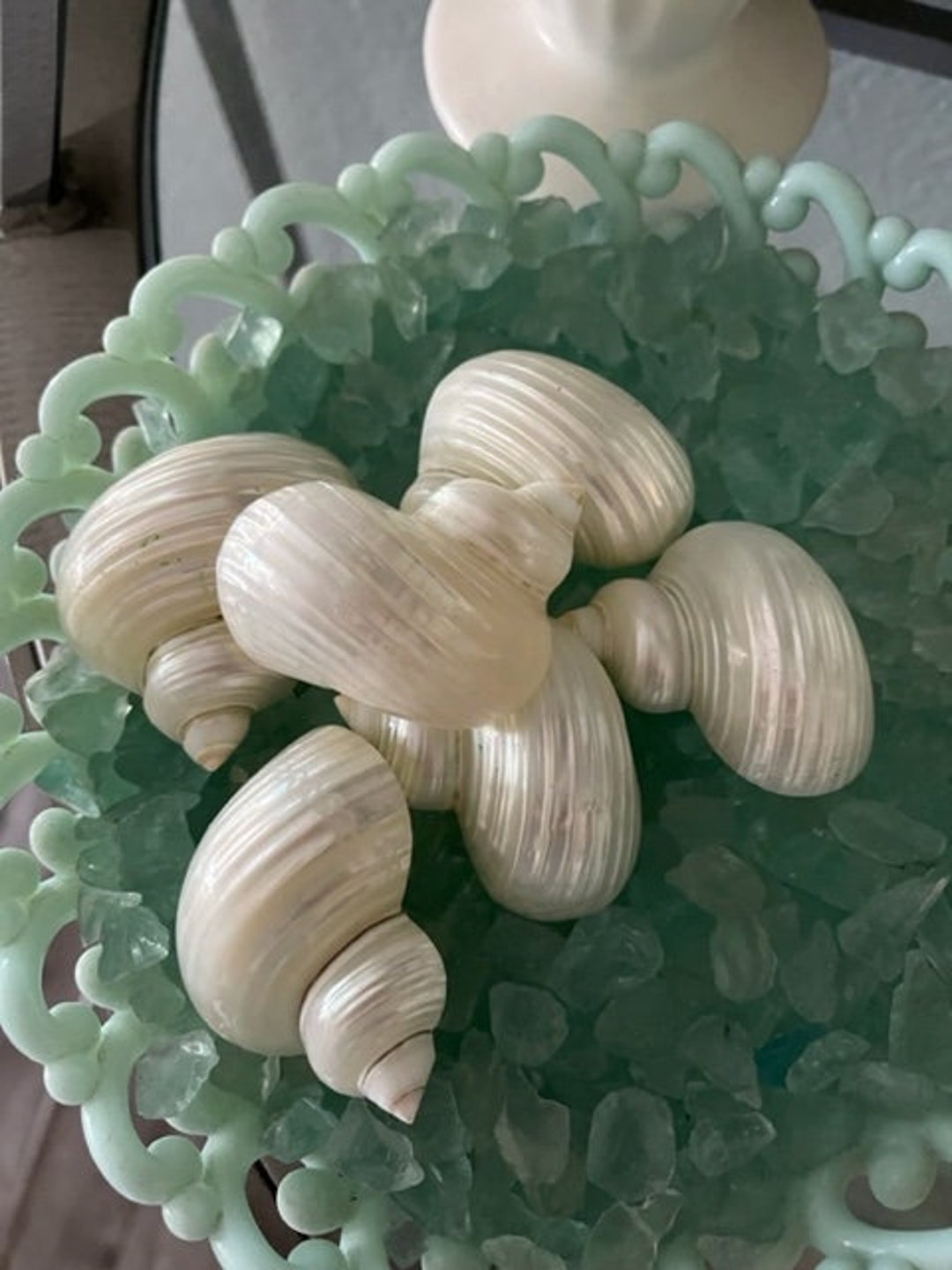 Beach Decor Silvermouth White Pearl Turbo Shells Halves (3 Pcs) -large ...