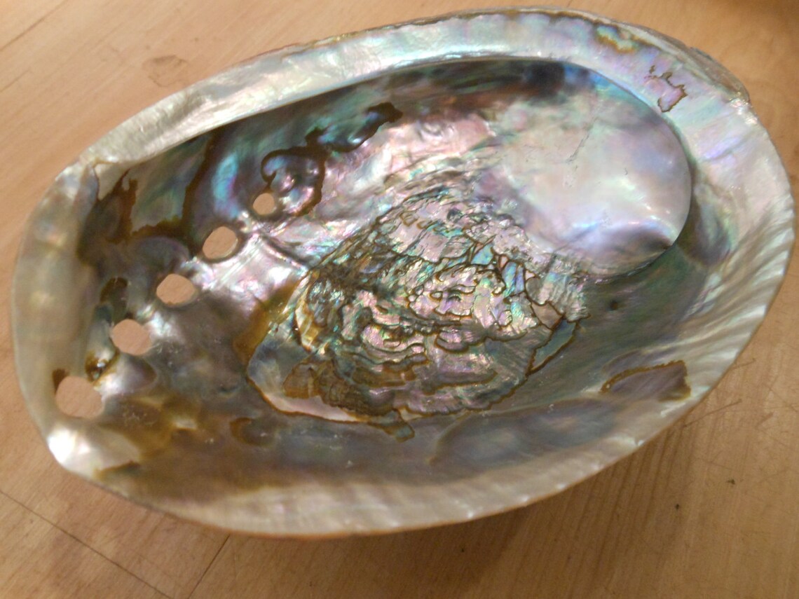 Beach Decor Embellished Abalone Shell Swarovski Crystal - Etsy