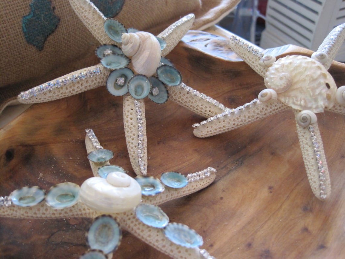 Beach Decor Wedding Favor Starfish Decorated Starfish With - Etsy