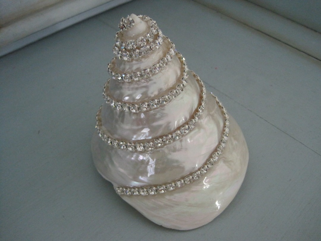 Embellished Polished Trochus Shell With Swarovski Crystals - Coastal ...