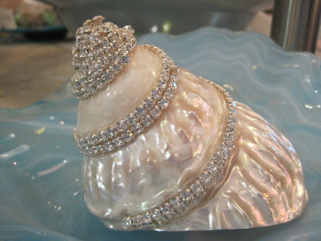 Beach Decor Embellished Pearlized Wavy Top Turbo Shell With Swarovski ...