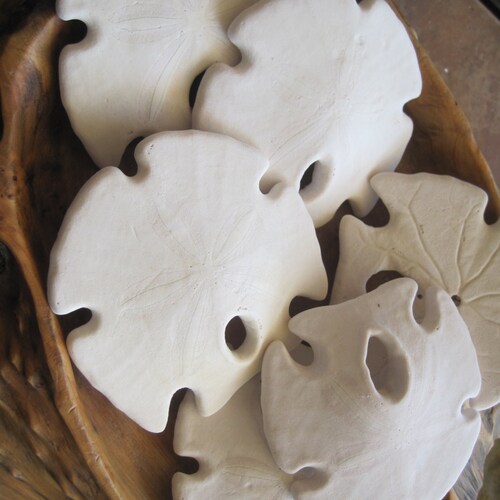 Beach Decor Keyhole Sand Dollar 1 Sand Dollar Coastal - Etsy