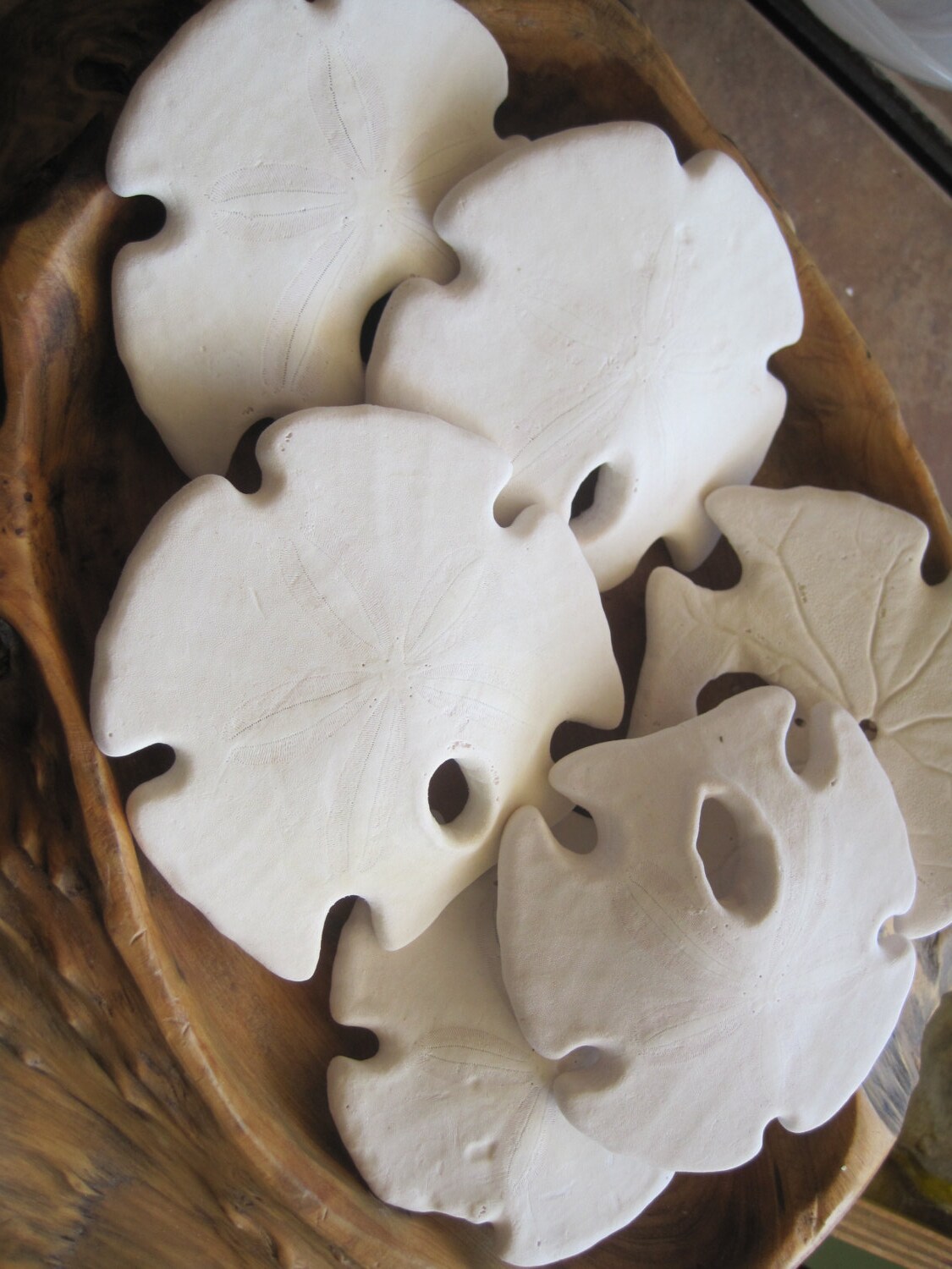 Beach Decor Keyhole Sand Dollar 1 Sand Dollar Coastal - Etsy