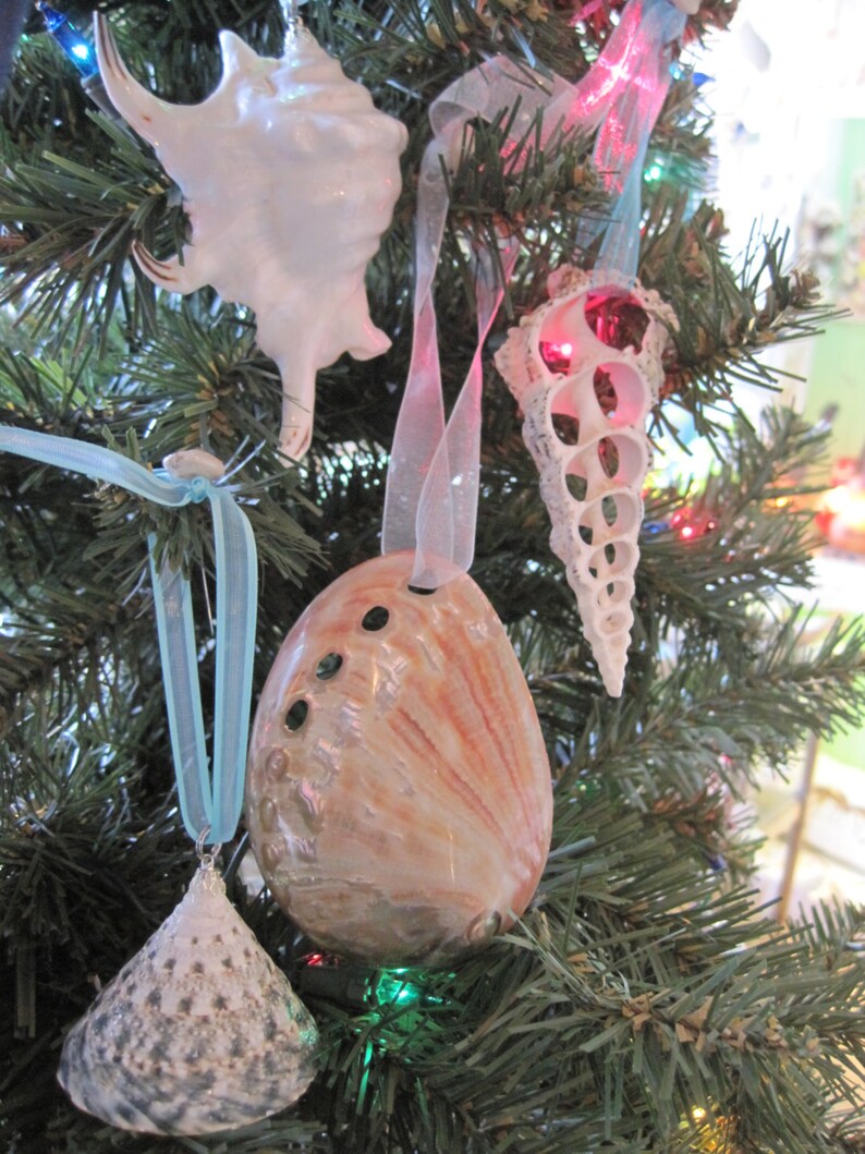 Beach Decor Christmas Seashell Ornament Set 4PC Seashell - Etsy