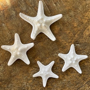 Mini Knobby Starfish 1-2" (10 PC) - Tiny White Knobby Starfish - Beach ...