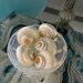Cinnerus Pearl Seashells (6 Pcs) - Turbo Shells - Pearlized Shells ...