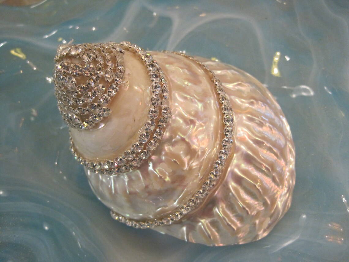 Beach Decor Embellished Pearlized Wavy Top Turbo Shell With Swarovski ...