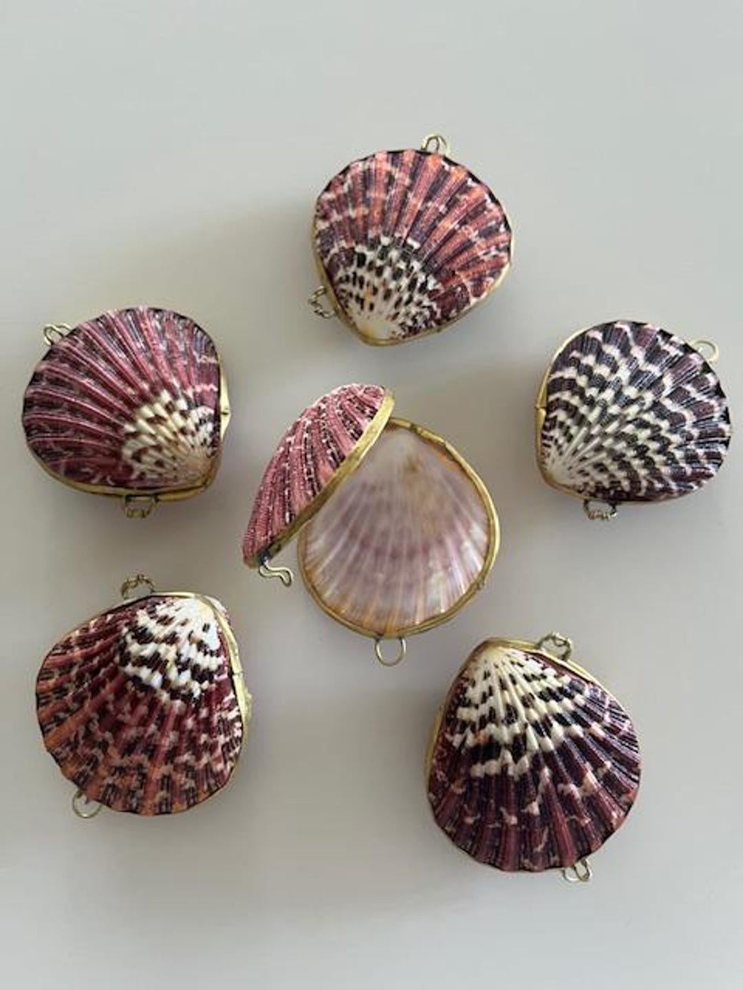 Shell Box - Natural Seashell Ring Box - Colorful Pectin Pallium Shell ...