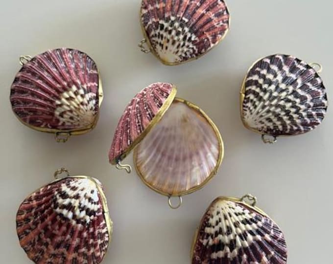 Shell Box - Natural Seashell Ring Box - Colorful Pectin Pallium Shell ...