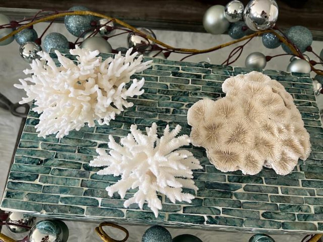 Real (natural) Assorted White Corals - Mini White Corals - Natural ...