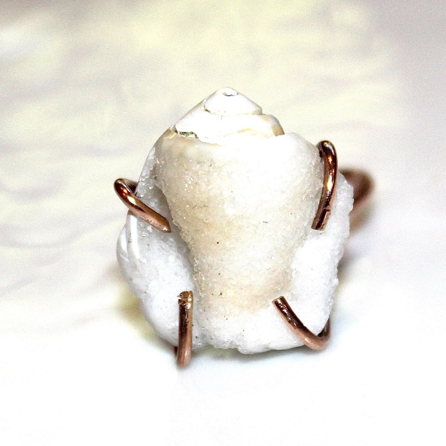 Fossil Shell Ring Beach Ring Shell Jewelry Druzy Ring Drusy - Etsy