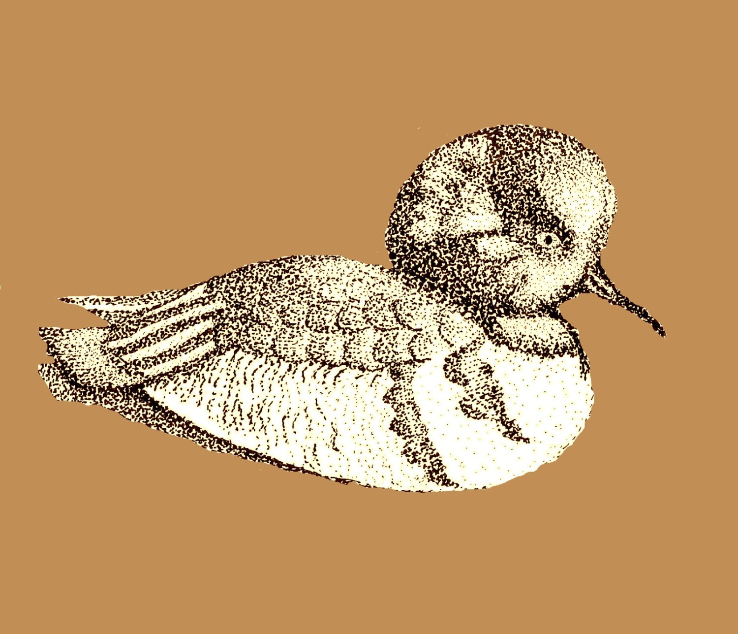 Fine Art Giclee Print Duck Sepia Pen & Ink by Jan Maitland - Etsy