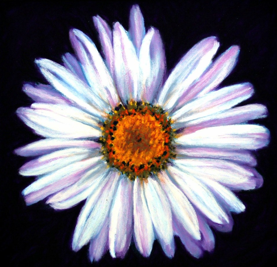 Daisy Fine Art Giclee Print, Pastel Painting by Jan Maitland, Flower ...