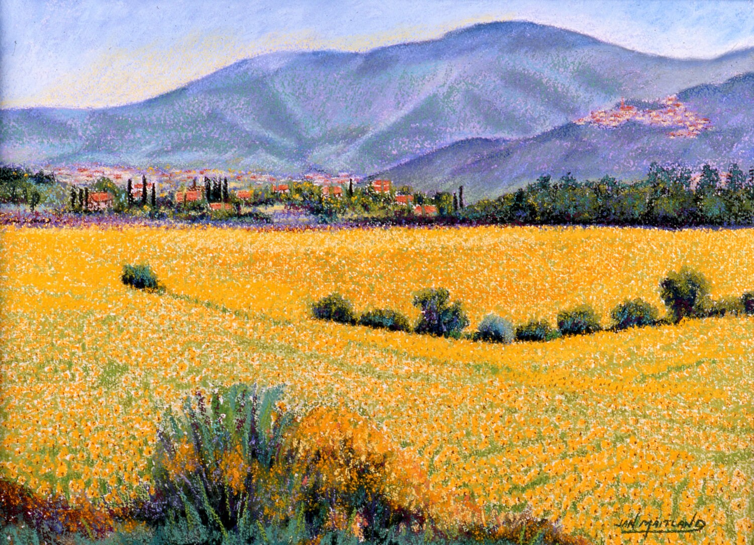 Italian Sunflower Field Art Print: Pastel Landscape Giclee (8" X 10 ...