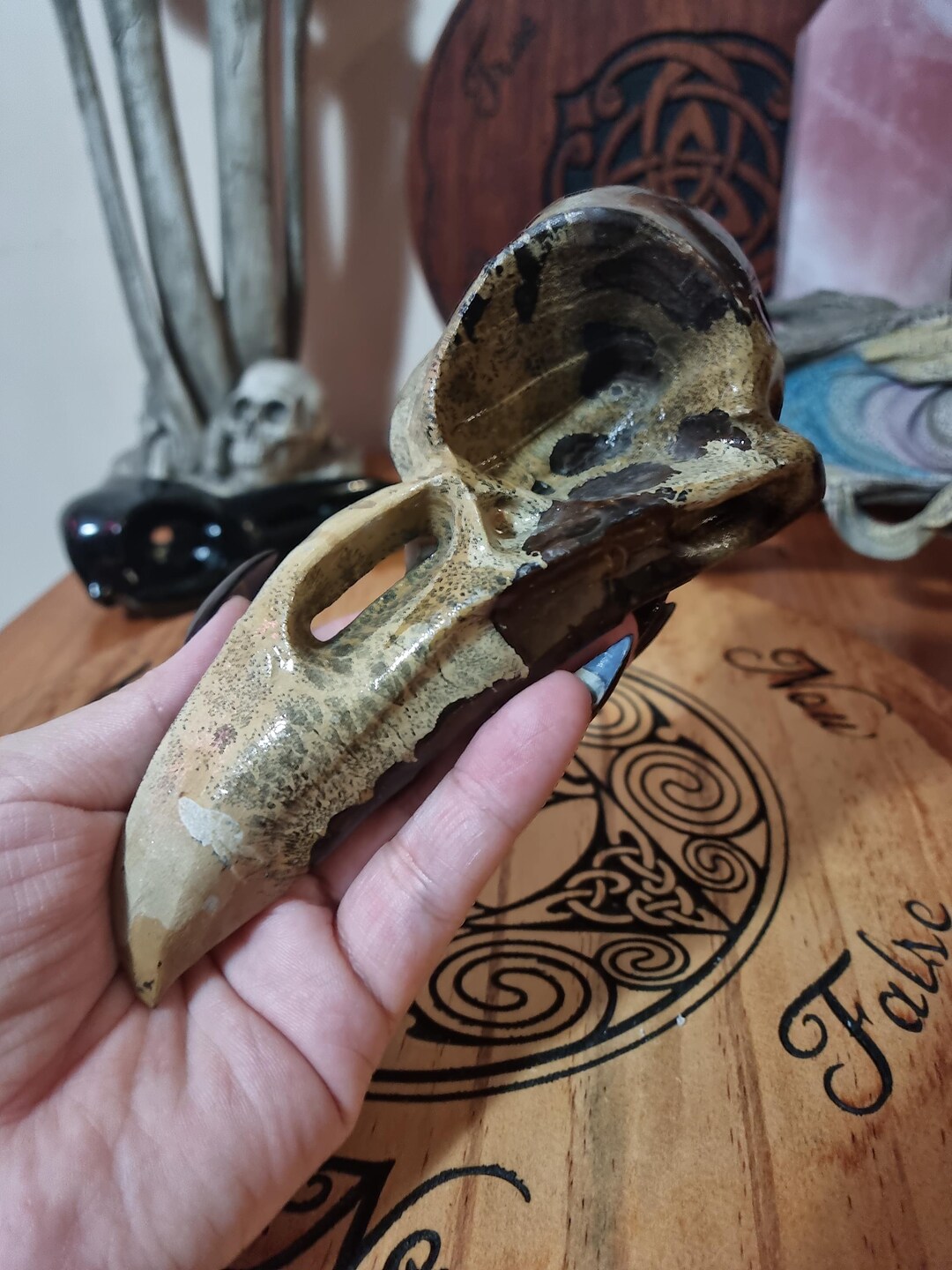 Large Picture Jasper Bird Skull Carving, Hand Carved Raven Skull ...