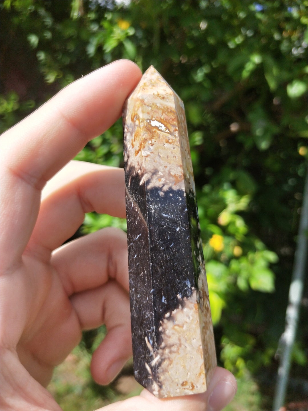 Fossil Palm Root Tower (2427) 83g - Etsy