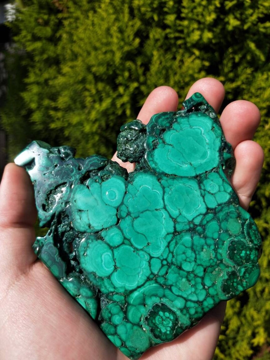 Beautiful and Unique Natural Malachite Raw Polished Slice (2293) 198gms ...