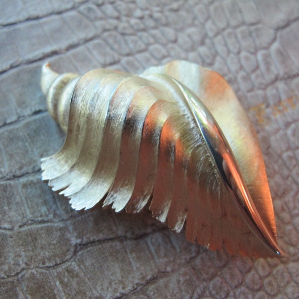 Seashell Brooch - Etsy