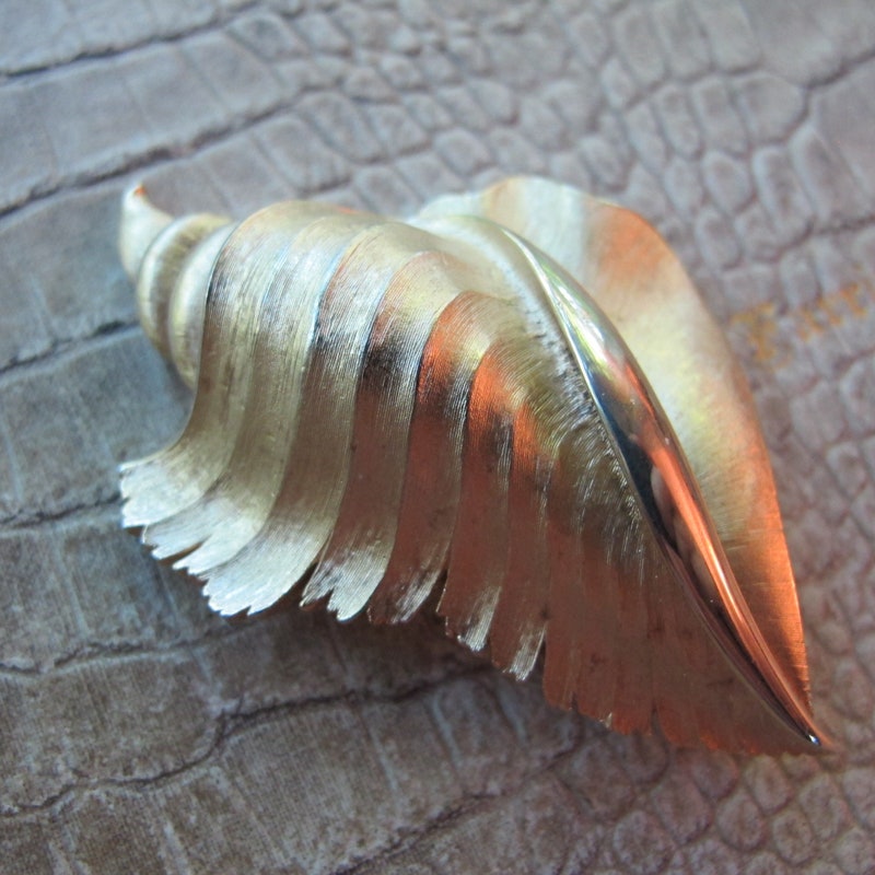 Seashell Brooch - Etsy