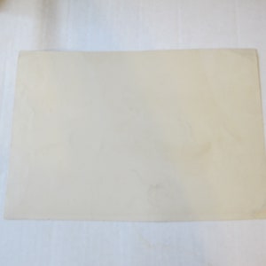 Antique 1880's Chromolithograph Print From Jacob Studer's Ornithology ...