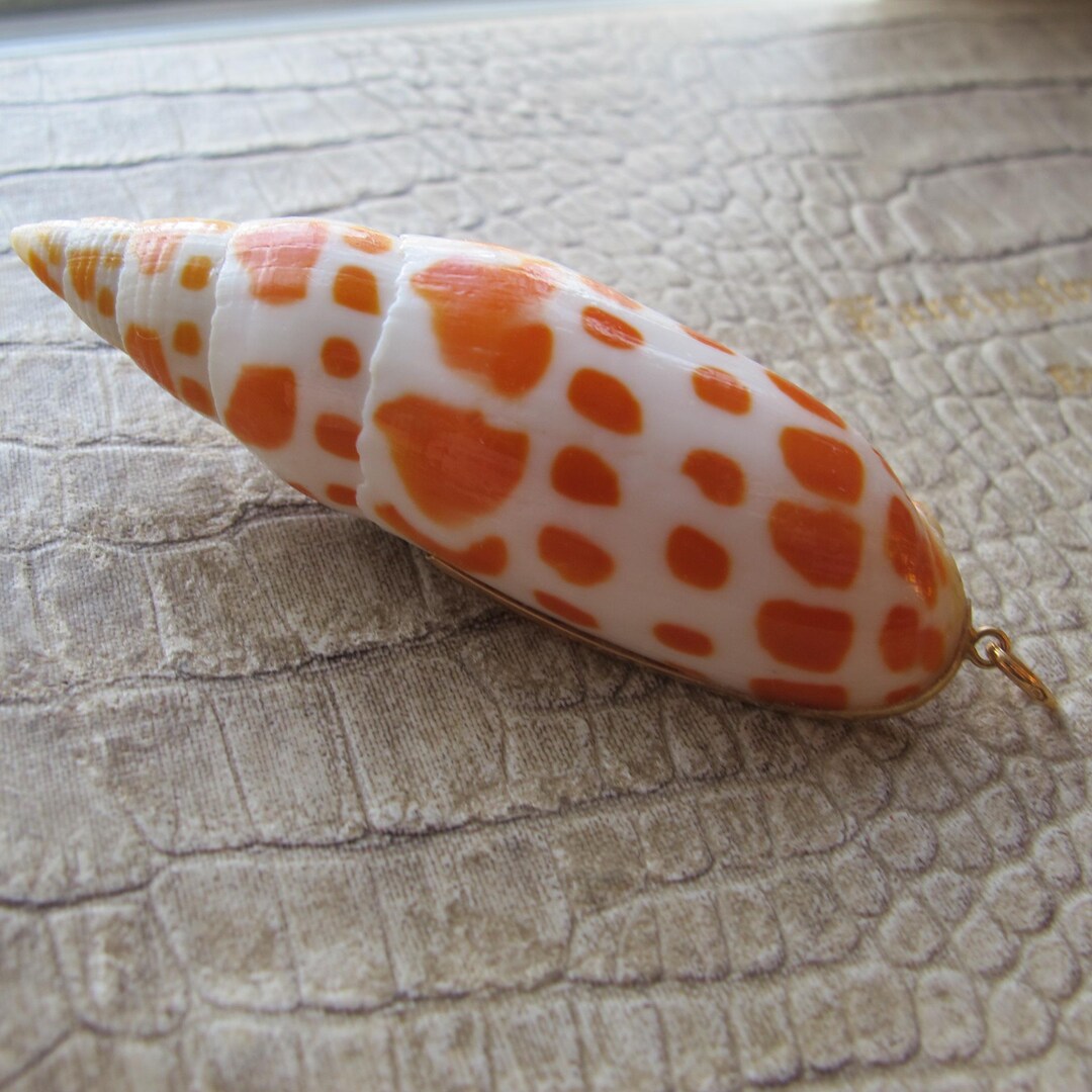 750 Gold & Sea Snail Seashell Mitra Mitra Handmade OOAK Pendant Charm ...