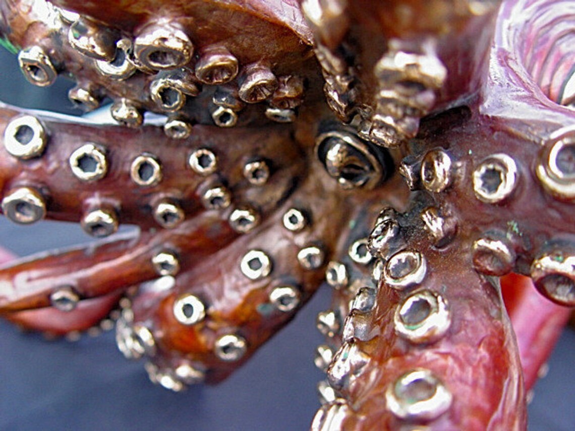 Giant Squid Sculpture BY ORDER! Ships Worldwide! - Etsy
