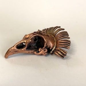 Real Quail Bird Skull Aztec Electroformed Sculpture Little Bastards ...