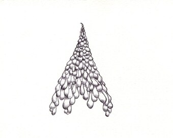 Field Mouse Print: Digital print of an original drawing | Etsy