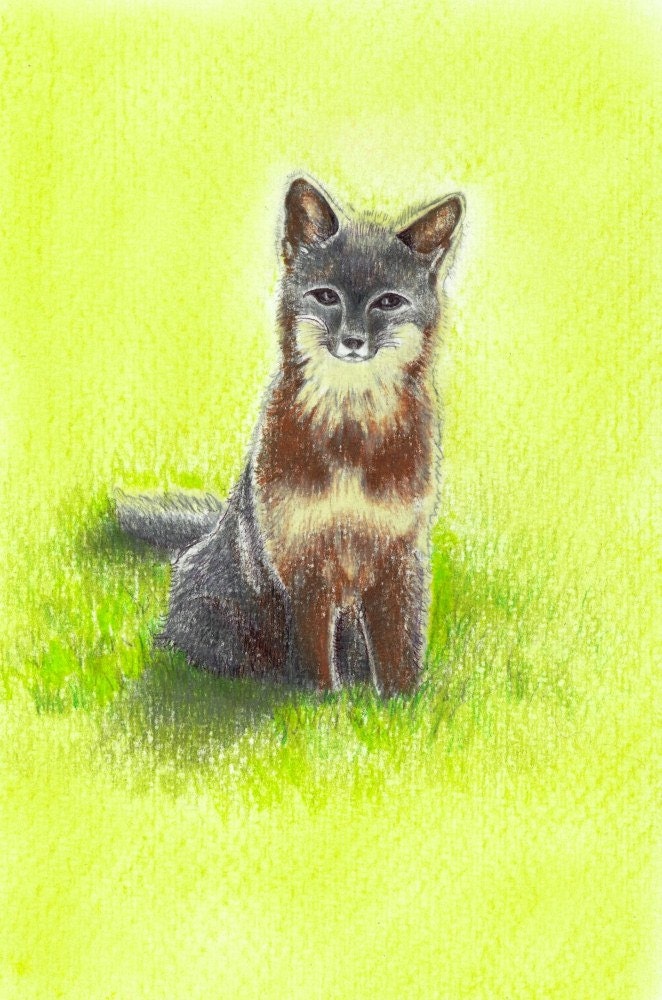 Mama Fox Art Print of an Original Drawing Available 5x7 or 8x10 - Etsy