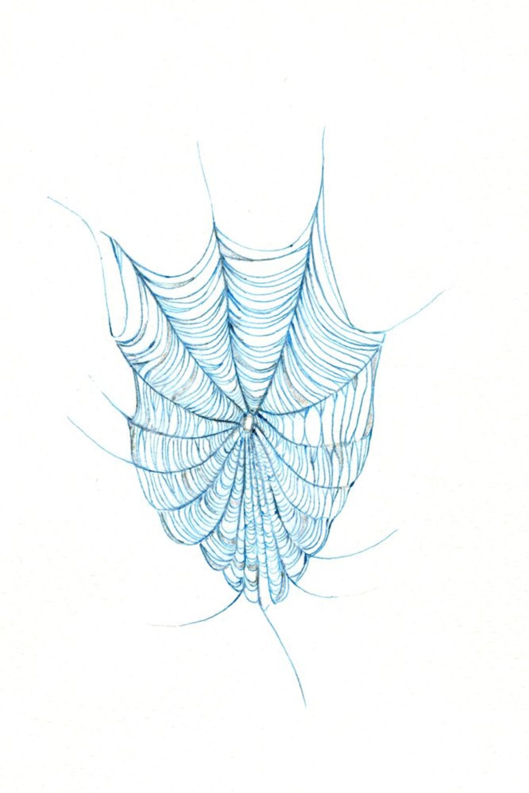 Spider Web Art Print of an Original Drawing Available 5x7 or 8x10 - Etsy