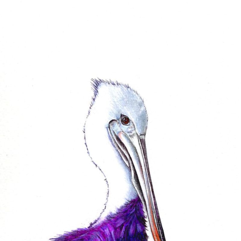 Purple Pelican - Etsy