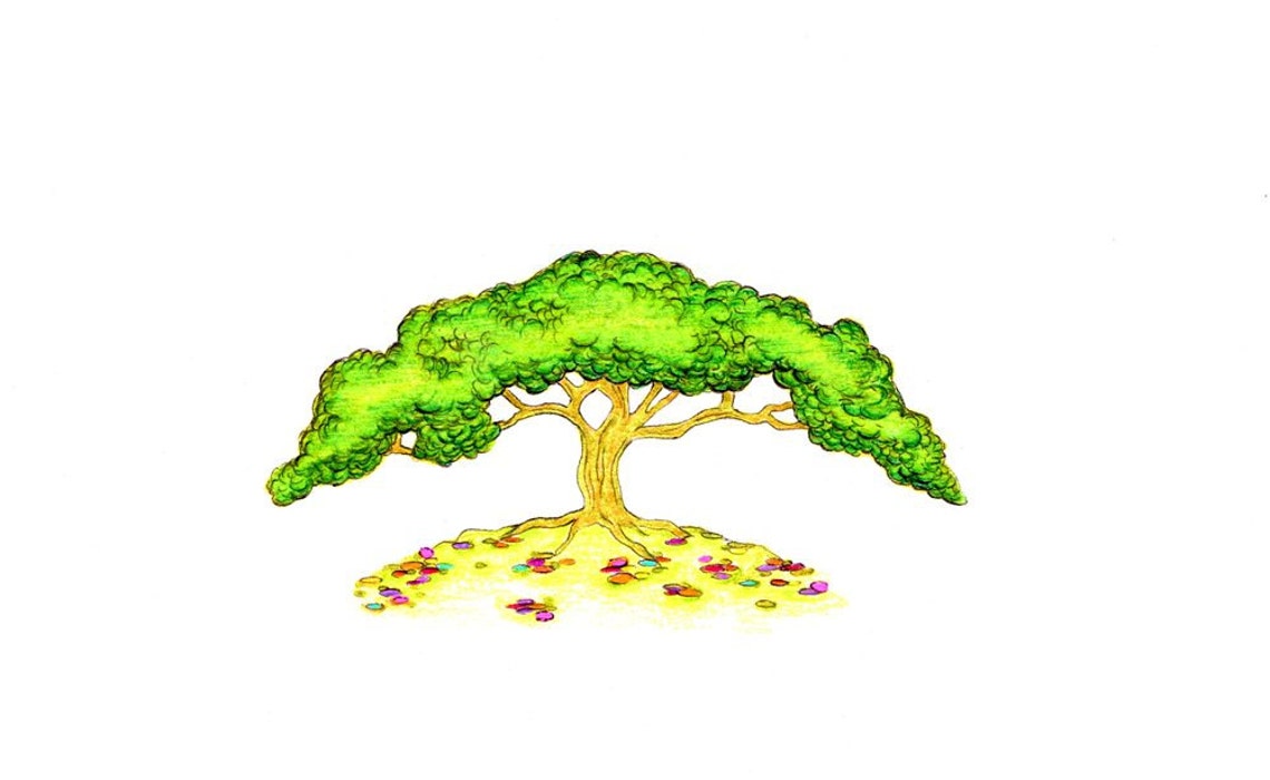 Wishing Tree Art Print of an Original Drawing Available 5x7" or 8x10 ...