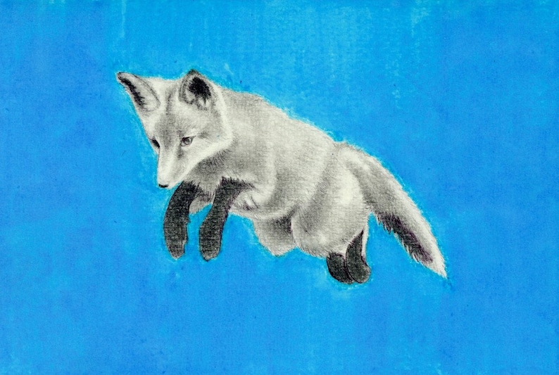 Leaping Fox Art Print of a Drawing Available 5x7 or - Etsy
