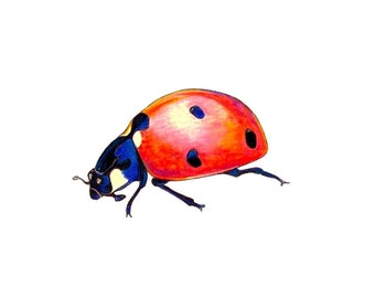 Gigglebuggers Butterfly Art Print John Donato Ladybug - Etsy